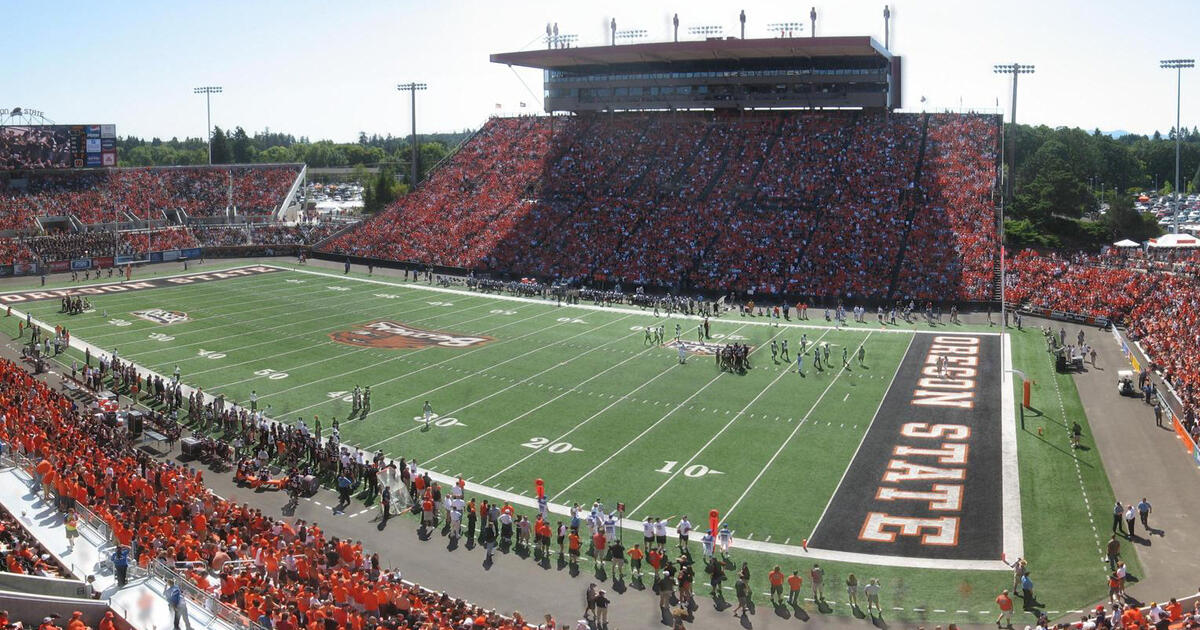 It's Game Day! | OSU Postdoctoral Association | Oregon State University